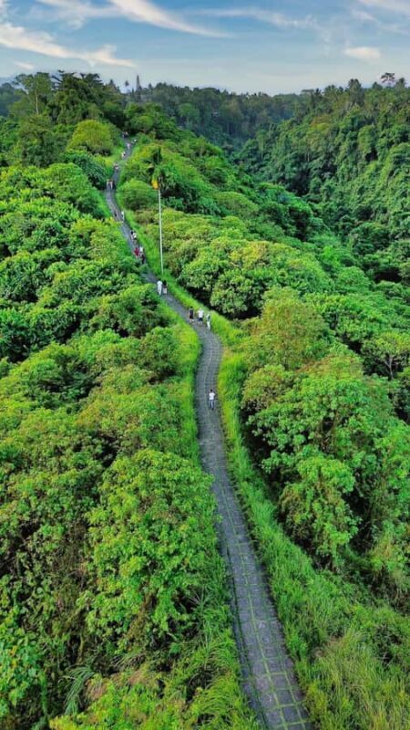 Ubud Tour : Ubud Higlight Culture,Tradition and Nature - FAQ