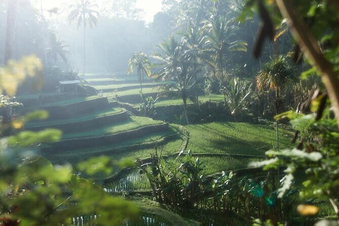 Ubud Tour Water Temple with Jungle Swing - Authentic Experiences and Traveler Insights