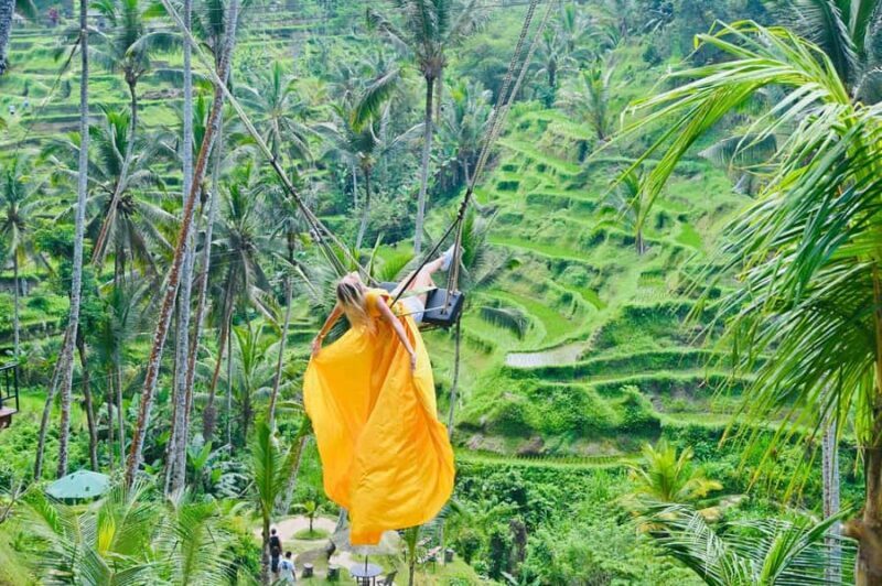 Ubud Tour with Optional English, Spanish and Italian Guide - Introduction to the Tour
