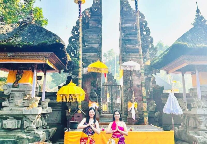 Ubud Tour with Optional English, Spanish and Italian Guide - Who Would Love This Tour?