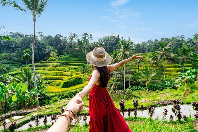 Ubud Tour with Swing, Waterfalls, Rice Terraces & Monkey Forest - Key Points