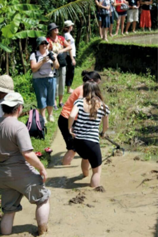Ubud: Traditional Rice Farming Experience - FAQ