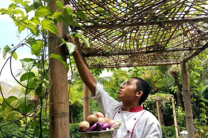 Ubud Travel Package (Half Day) - The Itinerary Breakdown: What to Expect