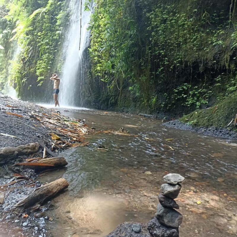 ubud trip monkey forest sanctuary - Value and Pricing
