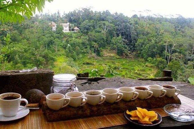 Ubud Trip, The Best of Ubud in a day - All Inclusive - FAQs