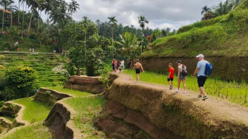 Ubud: Uma Anyar Waterfall, Goa Gajah Temple & Rice Terrace - Key Points