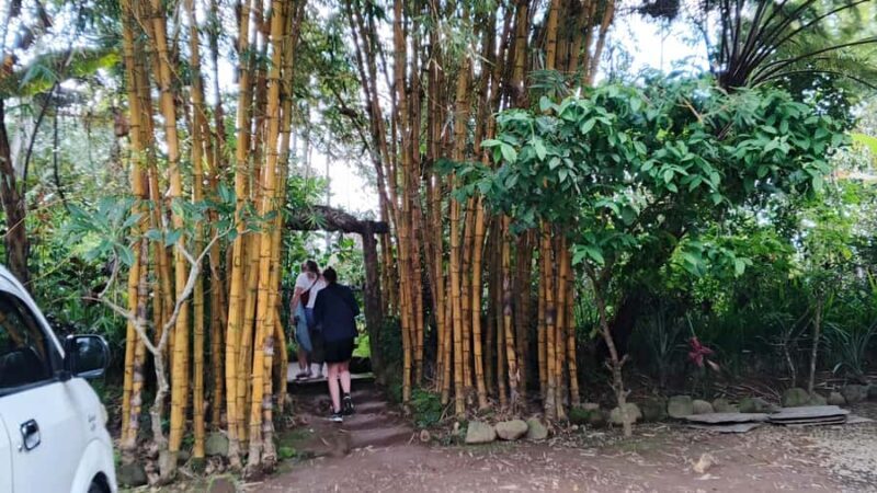 Ubud: Uma Anyar Waterfall, Goa Gajah Temple & Rice Terrace - Goa Gajah Temple: A Sacred and Intriguing Site