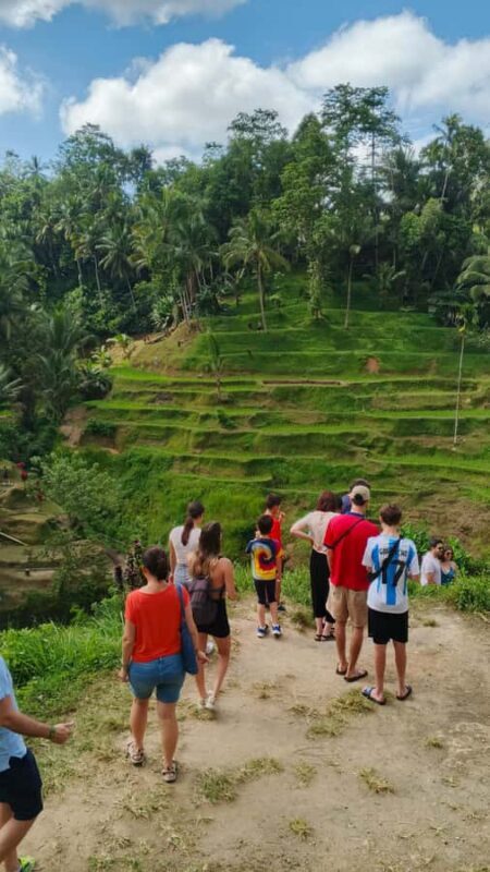 Ubud: Uma Anyar Waterfall, Goa Gajah Temple & Rice Terrace - Spice and Coffee Plantation: Flavors of Bali