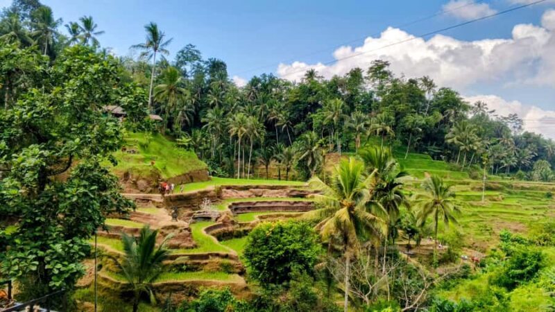 Ubud: Uma Anyar Waterfall, Goa Gajah Temple & Rice Terrace - The Value of the Experience