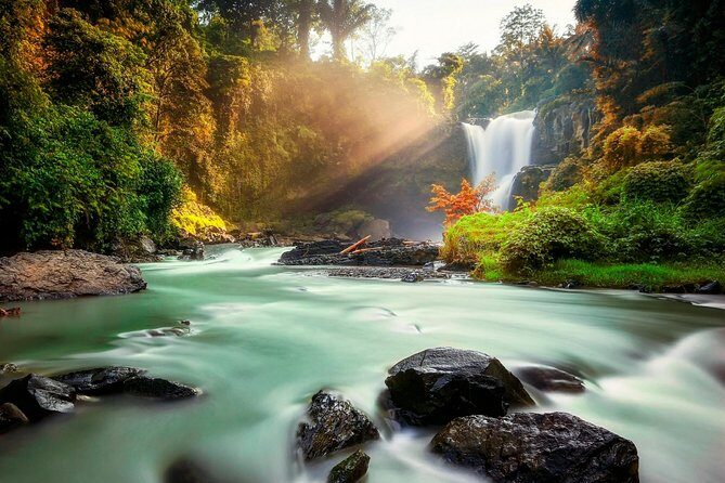 Ubud Village Sightseeing, Famous Paddy Field And Ubud Waterfall - An In-Depth Look at the Tour Experience