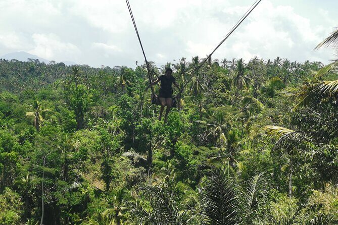 Ubud Village, Tegalalang Rice Terrace Swing, Tirta Empul Temple and Waterfafall - The Practical Side: What This Tour Means for You
