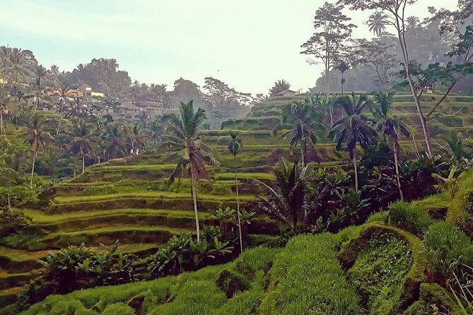 Ubud Volcano & Swing Highlights - Final Thoughts on Value