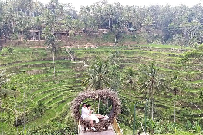 Ubud & volcano tour - Assessing the Value and Practicalities