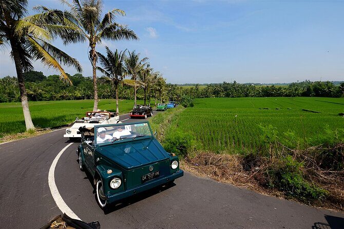 Ubud VW Safari Bali Tour - Volkswagen Classic Car Trip - Key Points