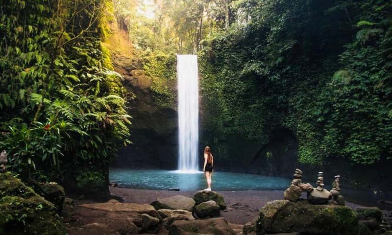 Ubud: Water Temple, Rice Terrace, Waterfall, Private Tour - An In-Depth Look at the Ubud Private Tour