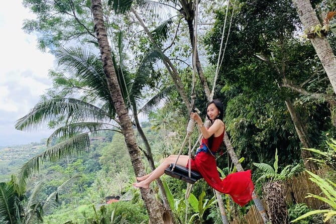 Ubud Water Temple Waterfall Terrace Swing Private Guided Tour - Discovering Bali’s Heart: The Itinerary in Detail