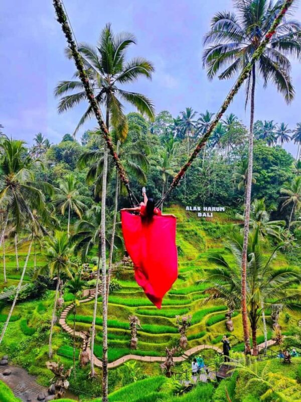 Ubud: Water Temple, Waterfalls and Rice Terrace Day Trip - Key Points