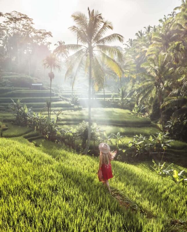 UBUD : Water Temples, Waterfalls, and Rice Terraces Tour - Final Thoughts