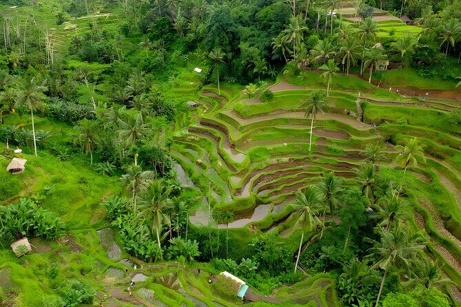 Ubud Waterfall and Uluwatu Sunset Tour - Introduction to the Tour Experience