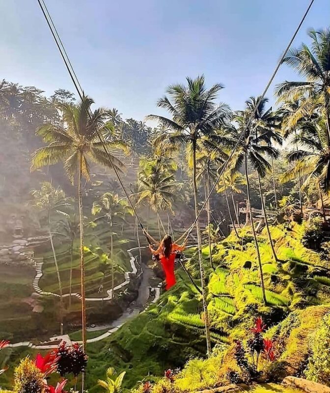 Ubud: Waterfall, Art Gallery, Dayclub, Spa, & Dinner Tour - Final Thoughts