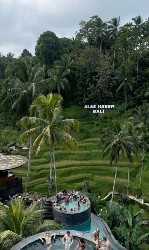 Ubud: Waterfall, Art Gallery, Dayclub, Spa, & Dinner Tour - FAQs