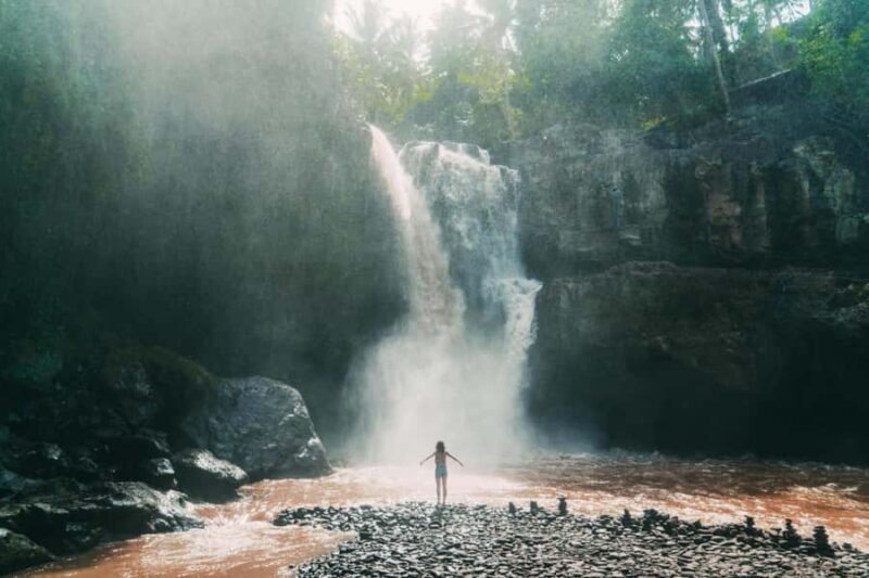 Ubud: Waterfall, Rice Terrace & Temple Private Day Tour - Key Points