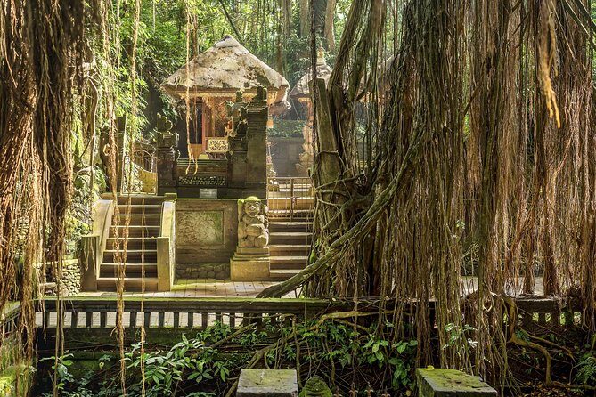 Ubud: Waterfall, Rice Terraces, and Monkey Forest Private Tour - Final Thoughts