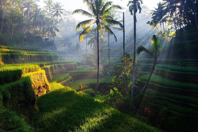 Ubud waterfall, rice terraces, and swing explore - Transportation and Practical Considerations