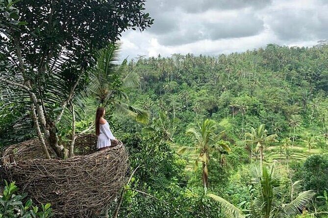 Ubud waterfall, rice terraces, and swing explore - Who Should Book This Tour?