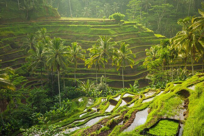 Ubud waterfall, rice terraces, and swing explore - FAQ