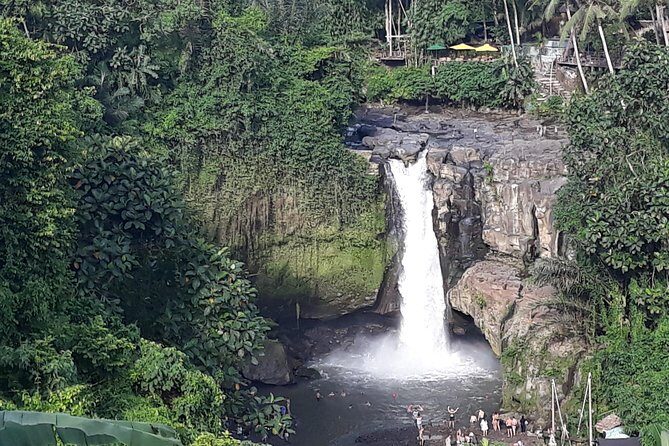 Ubud Waterfall Swing And Spring Temple Private Guided Tour - A Practical Guide to the Bali Waterfall Swing And Spring Temple Tour