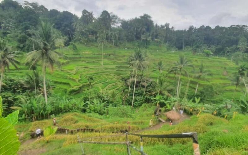 Ubud: Waterfall, Temple, & Jungle Swing Day Tour with Lunch - FAQ
