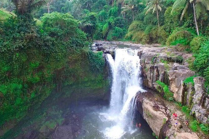 Ubud Waterfall Tour - Iconic Rice Terraces