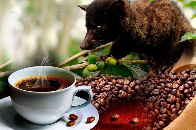 Ubud Waterfall Tour - Encounter with Monkeys