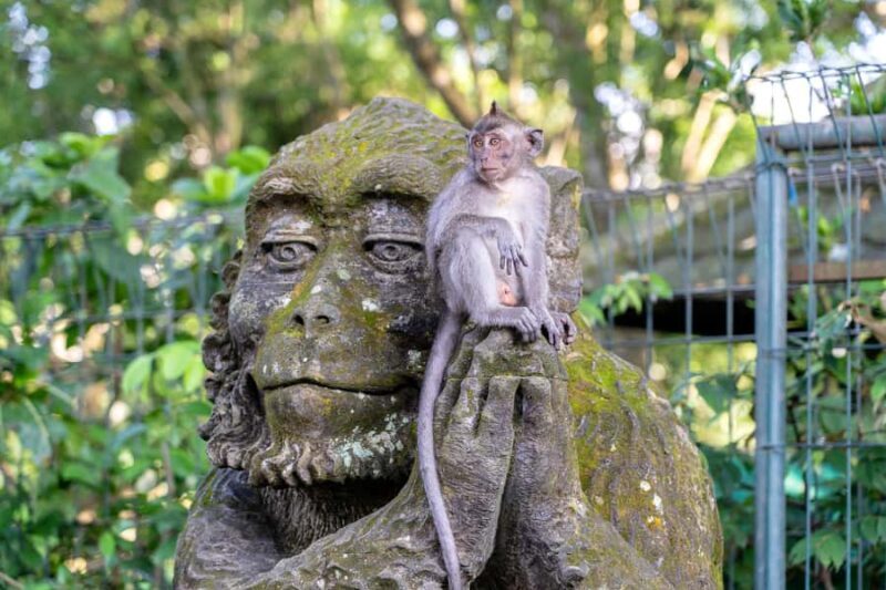 Ubud: Waterfall, Water Temple and Monkey forest Private Tour - Who Should Consider This Tour?