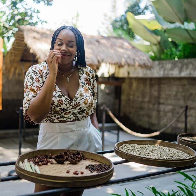 Ubud : Waterfall, Water Temple, Rice Terrace, Ubud Market - The Sum Up