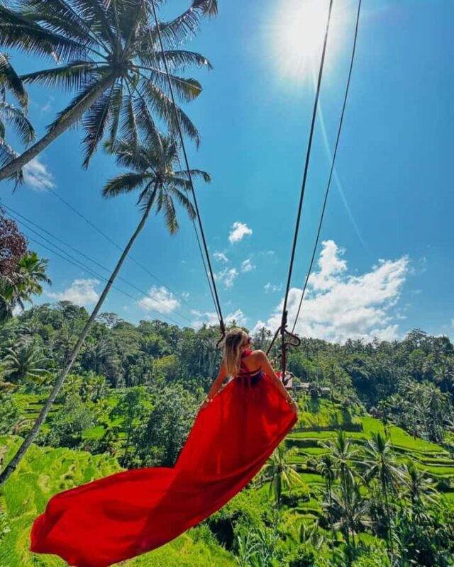 Ubud Waterfalls ,Rice Teraces ,& Swing ,Optional Art Galeria - A Day of Natural Wonder and Artistic Inspiration