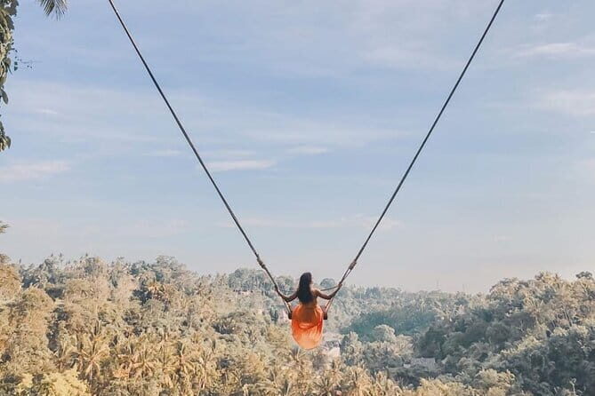 Ubud Waterfalls, Rice Terrace and Jungle Swing Tour - A Detailed Look at the Tour Experience