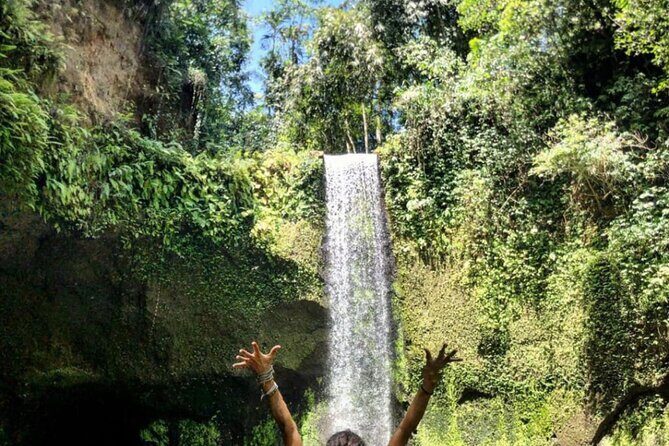 Ubud Waterfalls, Rice Terrace & Jungle Swing - Private Tour - Authentic Feedback from Past Travelers