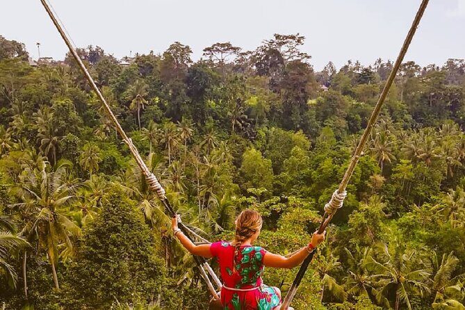 Ubud Waterfalls, Rice Terrace & Jungle Swing - Private Tour - Final Thoughts: Is This Tour Right for You?