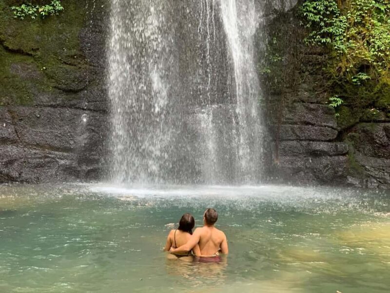 Ubud: Waterfalls, Sacred Monkey Forest & Rice Terraces Tour - Key Points