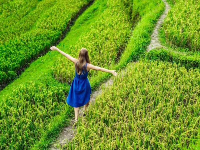 Ubud: Waterfalls, Sacred Monkey Forest & Rice Terraces Tour - Final Thoughts: Is This Tour Right for You?