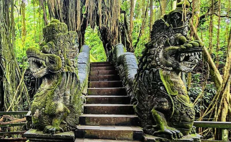 Ubud: Waterfalls, Sacred Monkey Forest & Rice Terraces Tour - FAQs