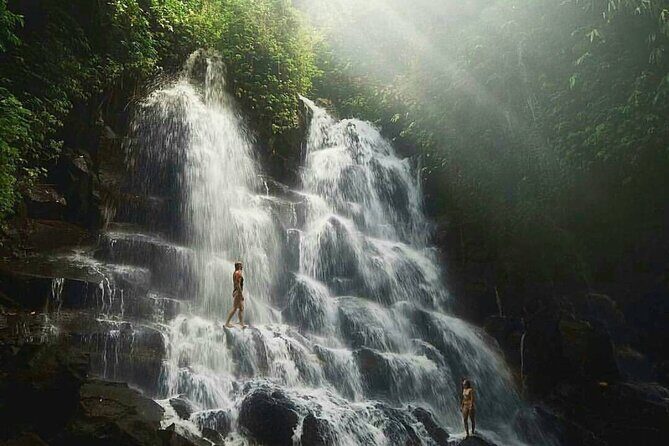 Ubud Waterfalls, Temple and Rice Terrace - Private Tour - The Itinerary Breakdown: What You Can Expect