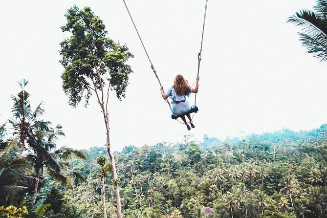 Ubud Waterfalls, Water Temple and Rice Terrace - Private Tour - Aloha Ubud Swing: An Adrenaline-Infused Photo Opportunity