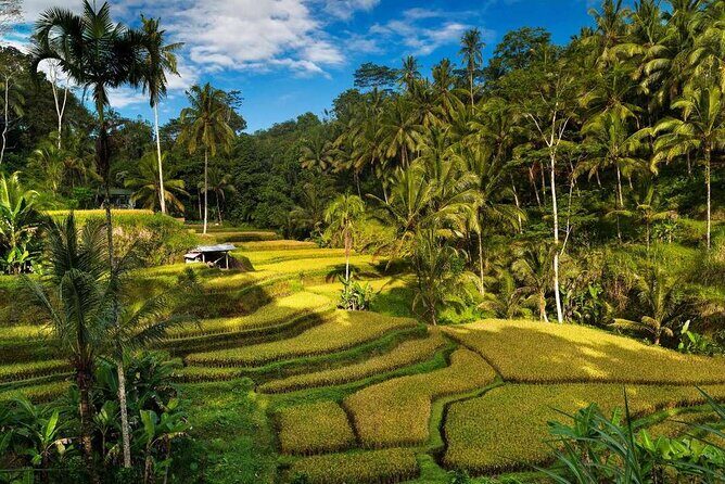 Ubud Waterfalls Water Temple and Rice Terraces Tour - FAQ