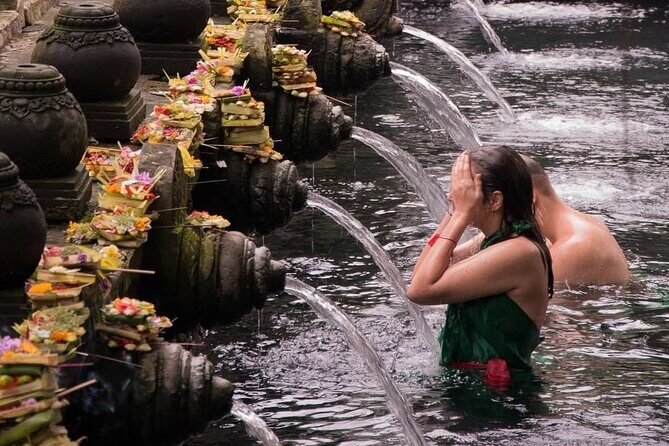 Ubud Waterfalls, Water Temple & Rice Terrace - Private Tour - Key Points