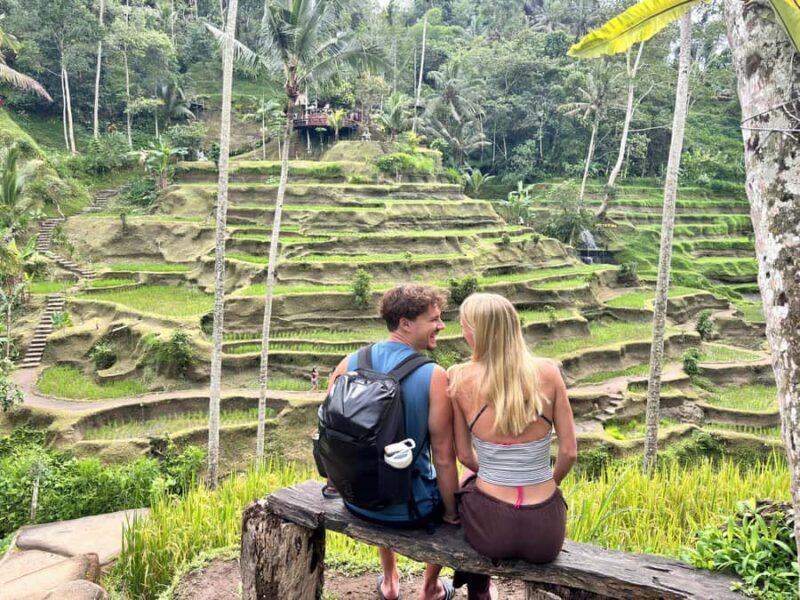 Ubud: Waterfalls, Water Temple & Rice Terraces Private Tour - Overview of the Tour