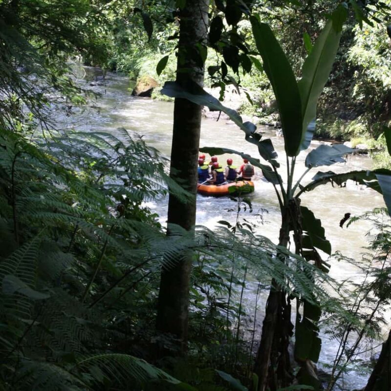 Ubud: White Water Rafting Adventure Tour - An Overview of the Ubud White Water Rafting Tour