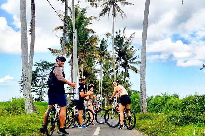 Ubud Wonderful Afternoon Downhill Cycling Tour - FAQs